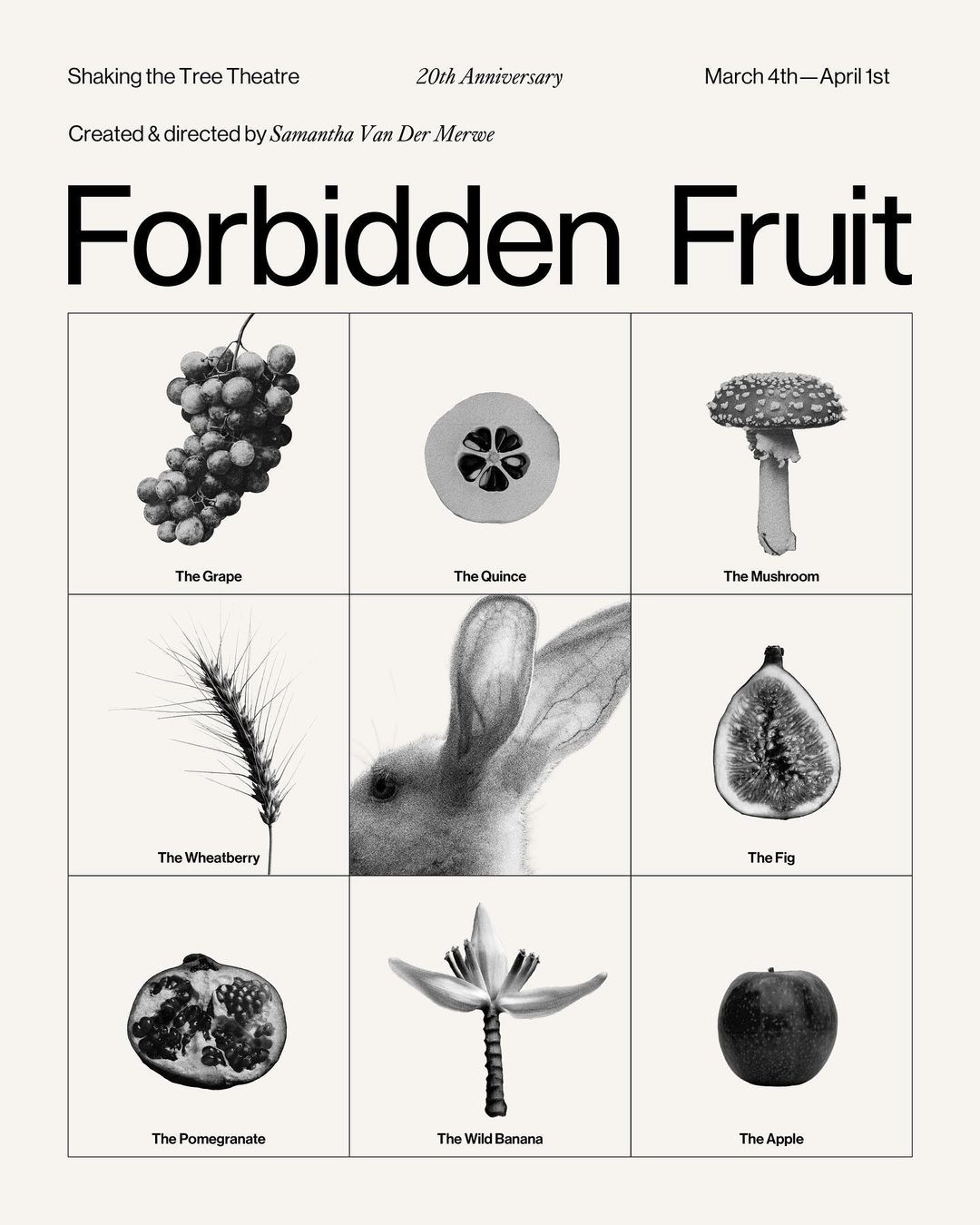 Accuardi, Houghton, Lewis, and Seid bite into FORBIDDEN FRUIT
